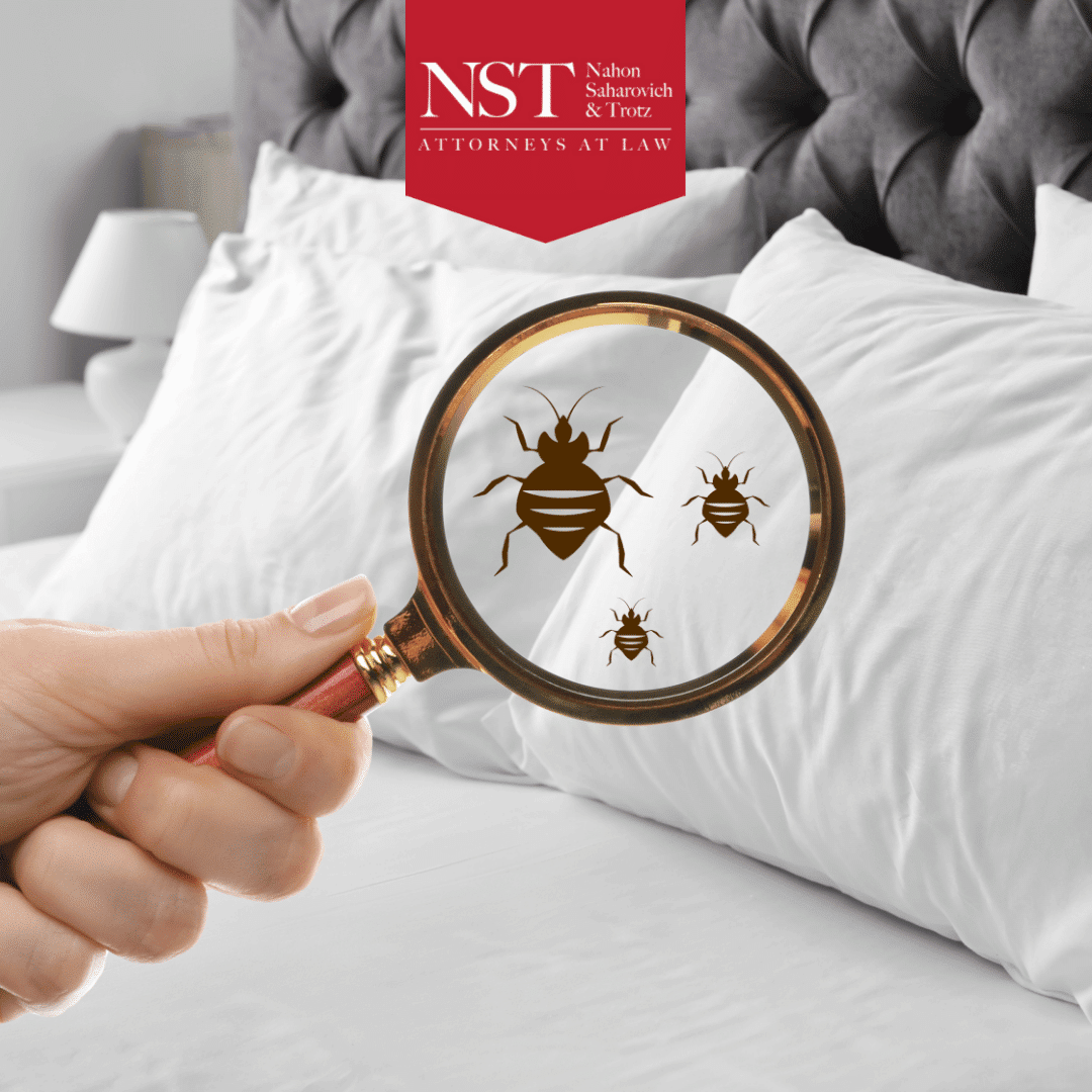Bed Bug Lawyer – Hold Negligent Landlords Accountable | NST Law
